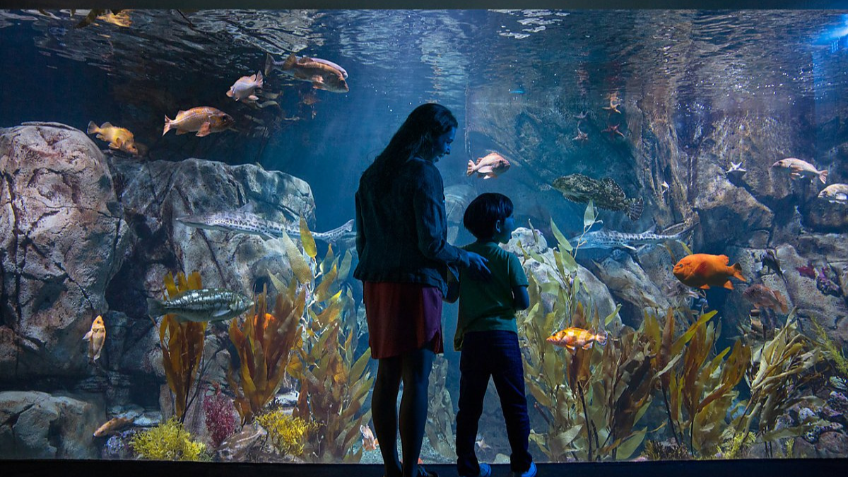 The Best Family Friendly Things To Do With Kids In LA